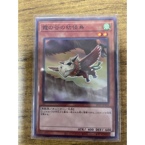 霞之谷的幼怪鳥的價格推薦 - 2025年9月 | 比價比個夠BigGo