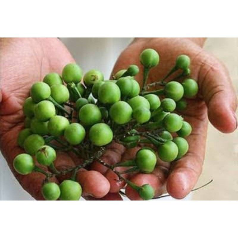 Cepoka的價格推薦 - 2023年1月| 比價比個夠BigGo