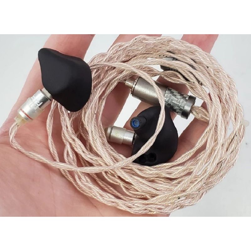 InEar pp8的價格推薦 - 2025年6月 | 比價比個夠BigGo