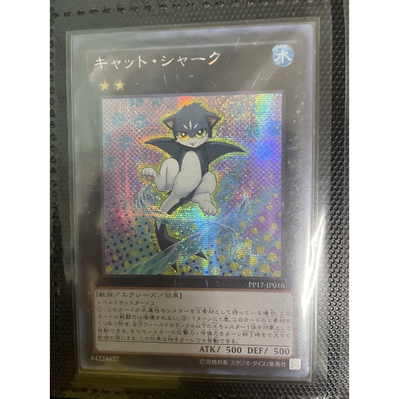 pp17-jp016 貓鯊 半鑽 | 蝦皮購物