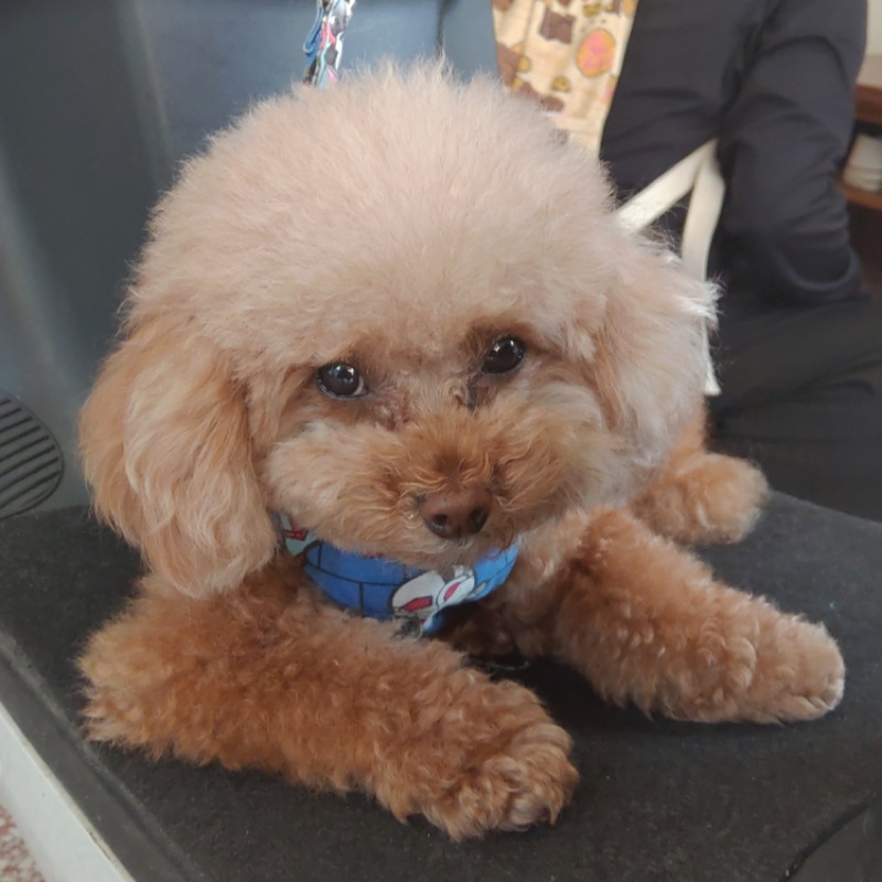 wtflin047, 線上商店 | 蝦皮購物