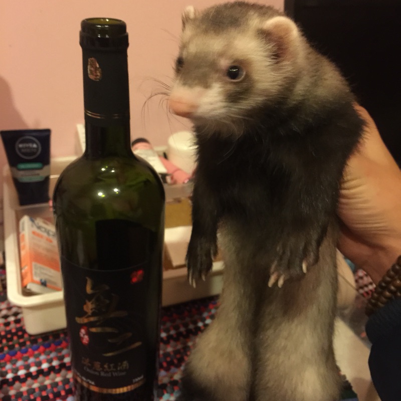 mscdex, 線上商店 | 蝦皮購物