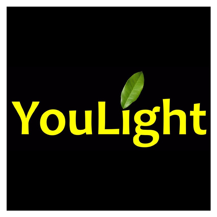 YouLight 3D列印及物聯網開發板, 線上商店 | 蝦皮購物