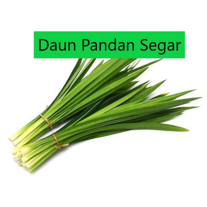 daun pandan segar per ikat | 蝦皮購物
