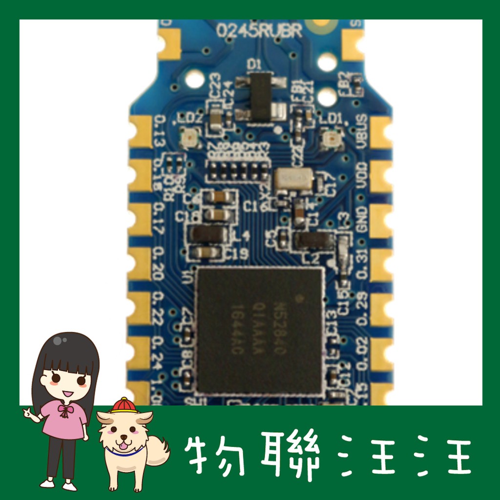 [物聯汪汪] 附發票~ Nordic原廠 nRF52840 Dongle Bluetooth 5 BLE藍牙開發板 | 蝦皮購物