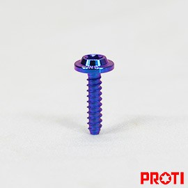 PROTI FFR 正鈦螺絲 VESPA 電瓶蓋螺絲 | 蝦皮購物