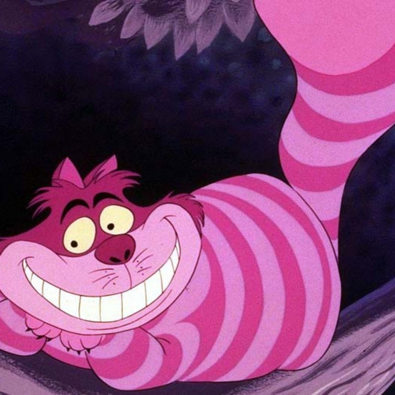 An916, 線上商店 | 蝦皮購物