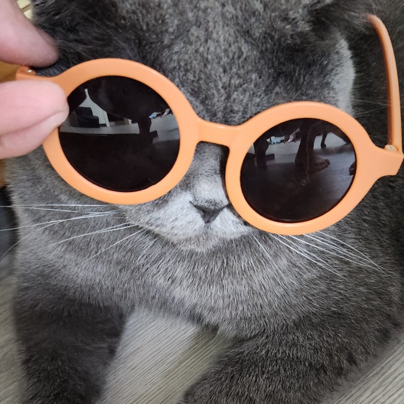 m1024, 線上商店 | 蝦皮購物