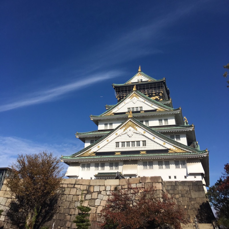 vivilin_2019, 線上商店 | 蝦皮購物