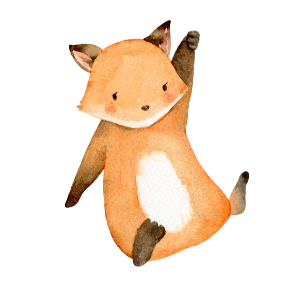 Moon Zoo, 線上商店 | 蝦皮購物