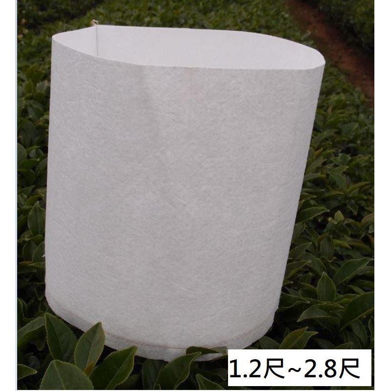 cute_shoshe , 線上商店 | 蝦皮購物