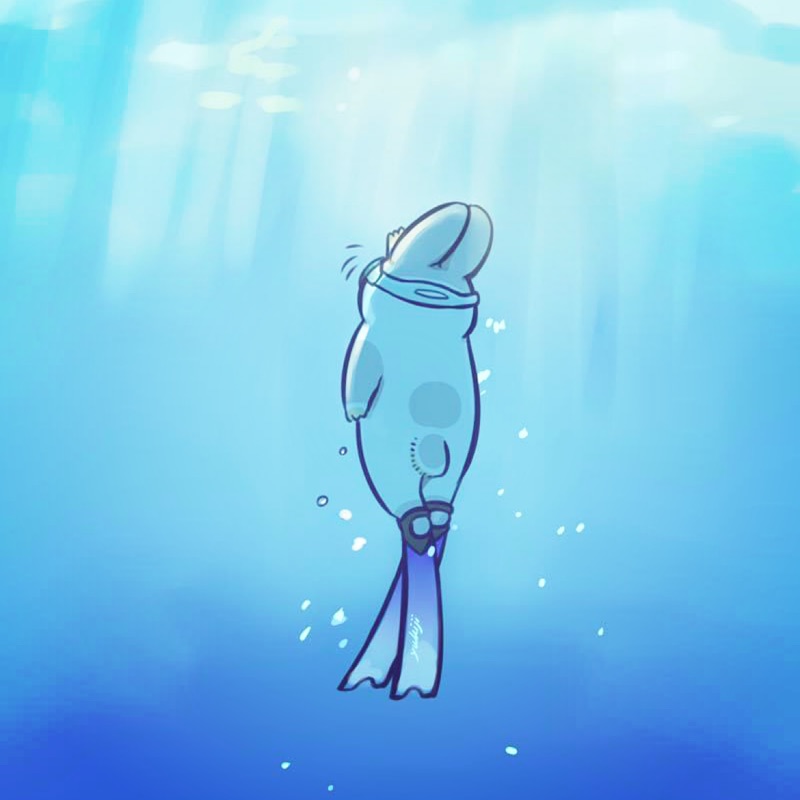 aufull, 線上商店 | 蝦皮購物