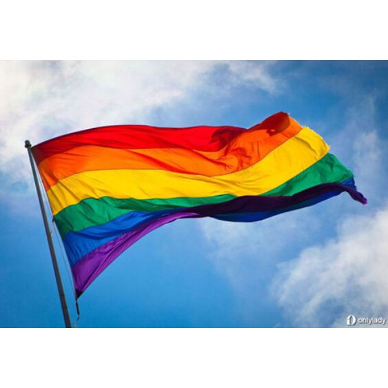 (我現貨最便宜) 90*150cm 同志遊行 同志必備 同性戀 彩虹旗 LGBT 驕傲旗 彩虹 Rainbow Flag | 蝦皮購物