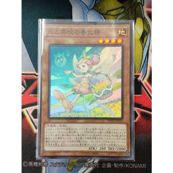 Pote-jp016的價格推薦 - 2025年6月 | 比價比個夠BigGo