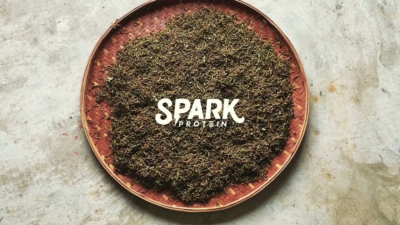 Spark Protein, 線上商店 | 蝦皮購物