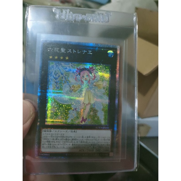 rotd jp046 白鑽的價格推薦 - 2024年11月| 比價比個夠BigGo