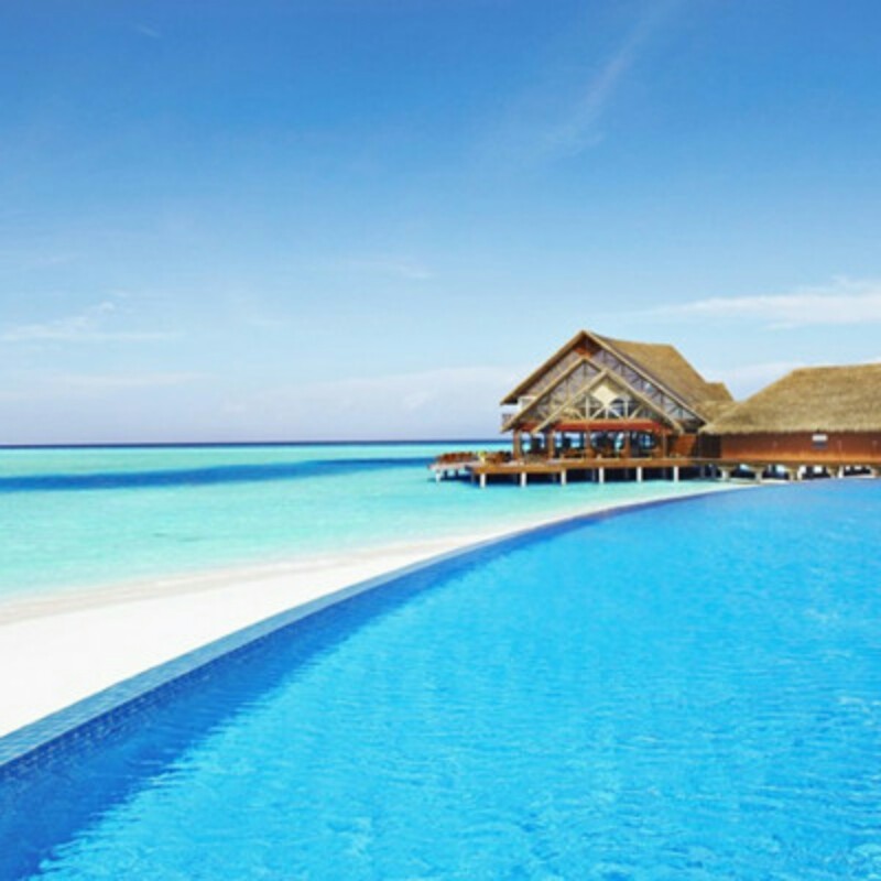 jc_hucat, 線上商店 | 蝦皮購物