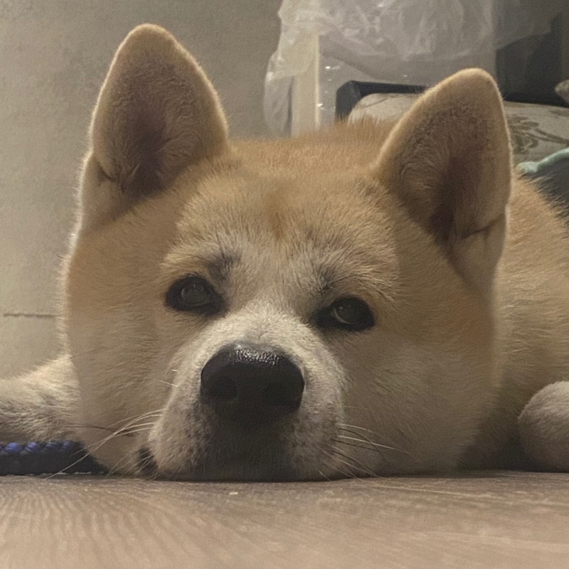 iamws1233, 線上商店 | 蝦皮購物