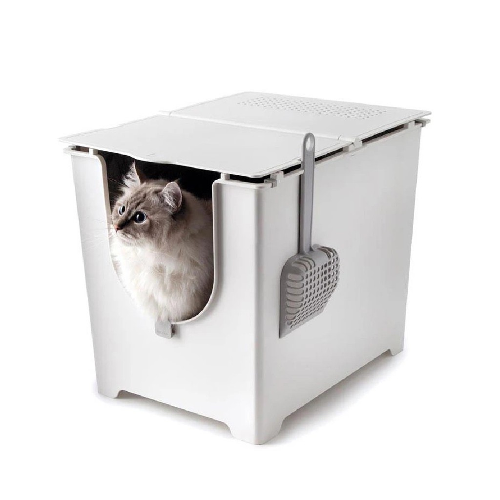 modko - 優惠推薦 - 2022年12月 | 蝦皮購物台灣