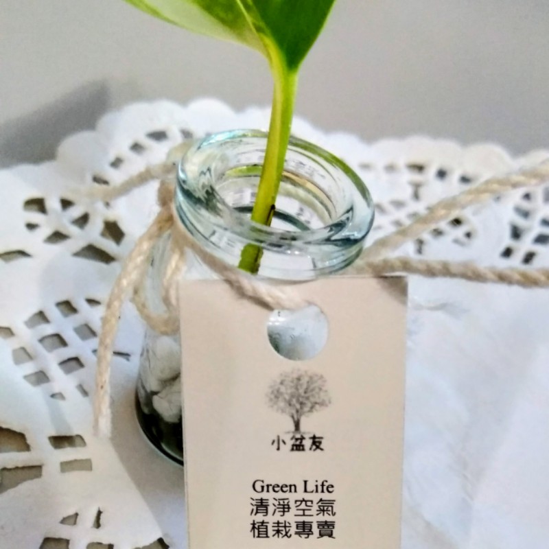 amye坊, 線上商店 | 蝦皮購物