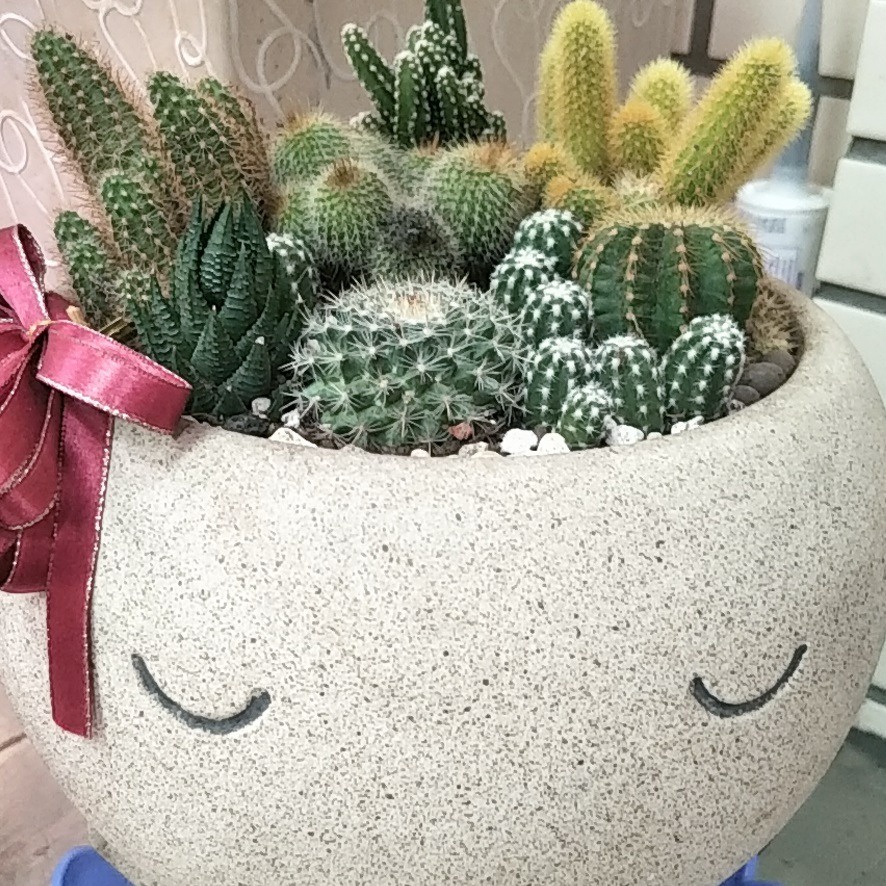 win_12345566, 線上商店 | 蝦皮購物