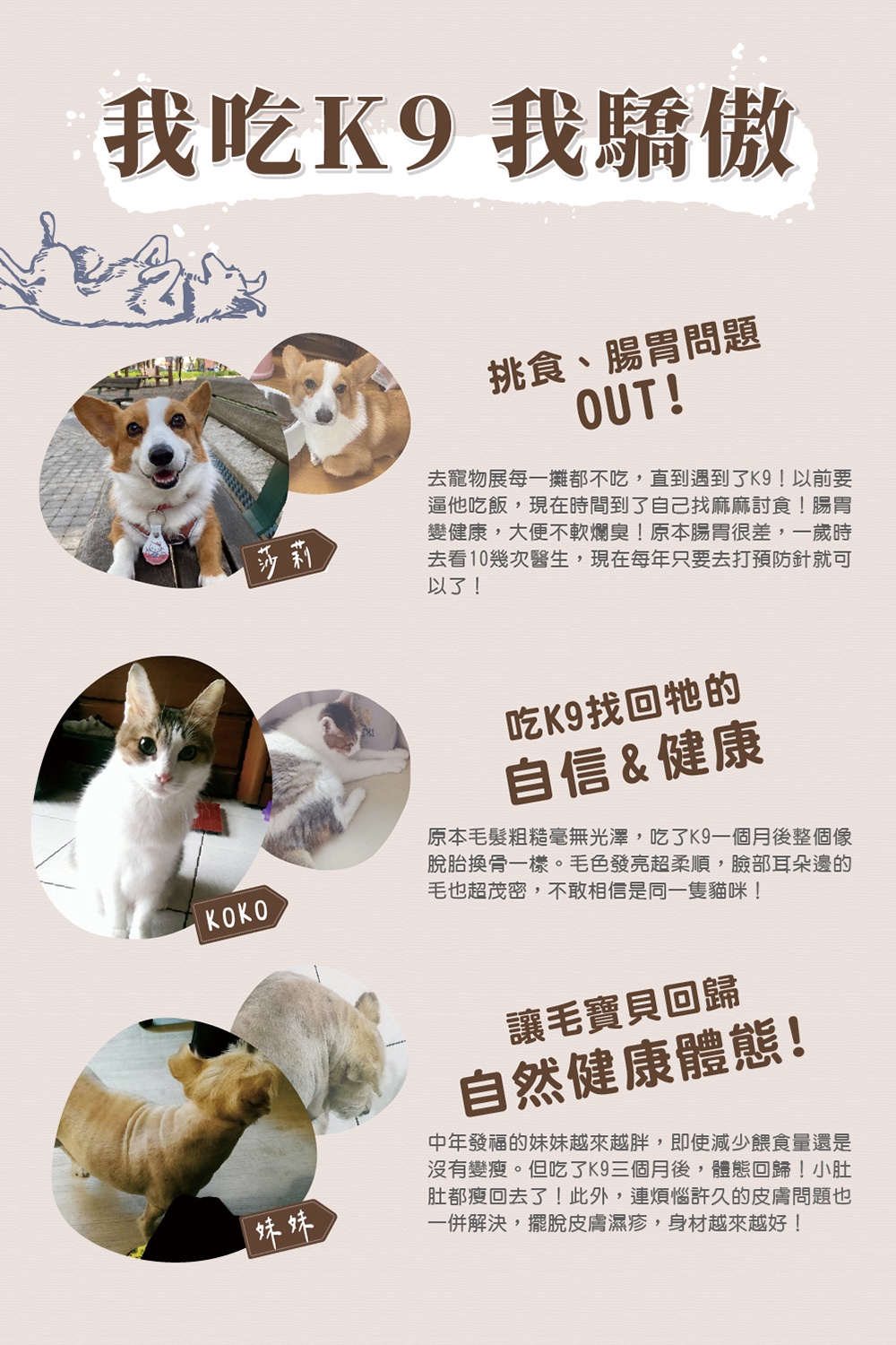 K9貓凍乾SofyDOG 貓咪凍乾生食餐 100g 【限時加購】 | 蝦皮購物