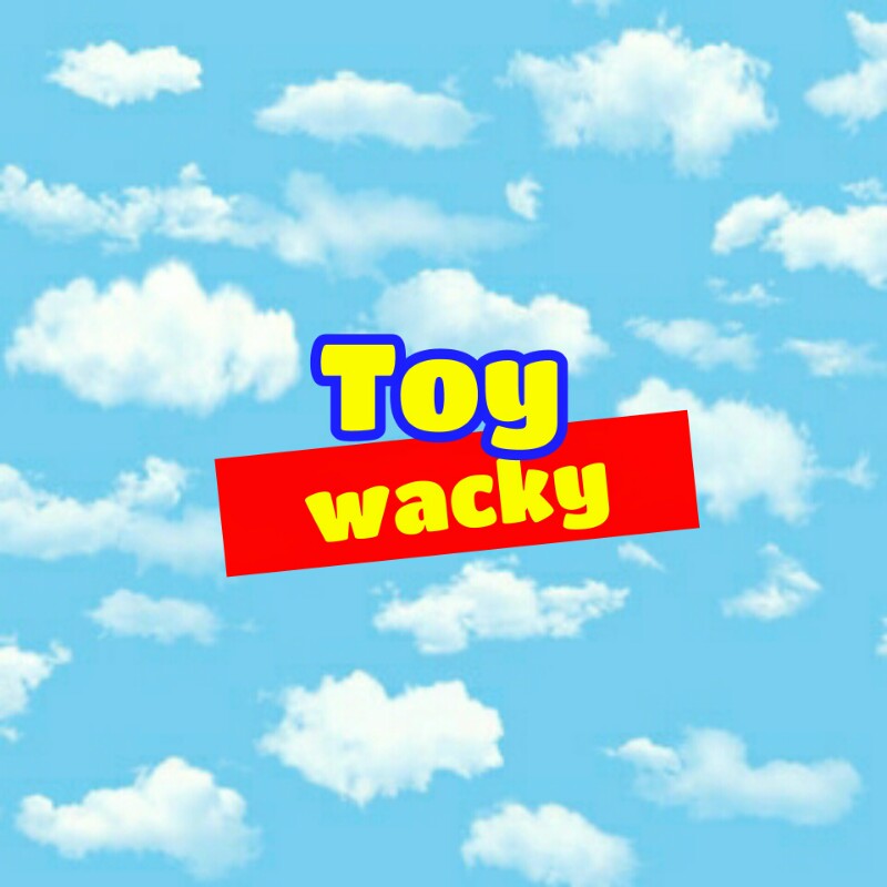 Wacky Toy, 線上商店 | 蝦皮購物