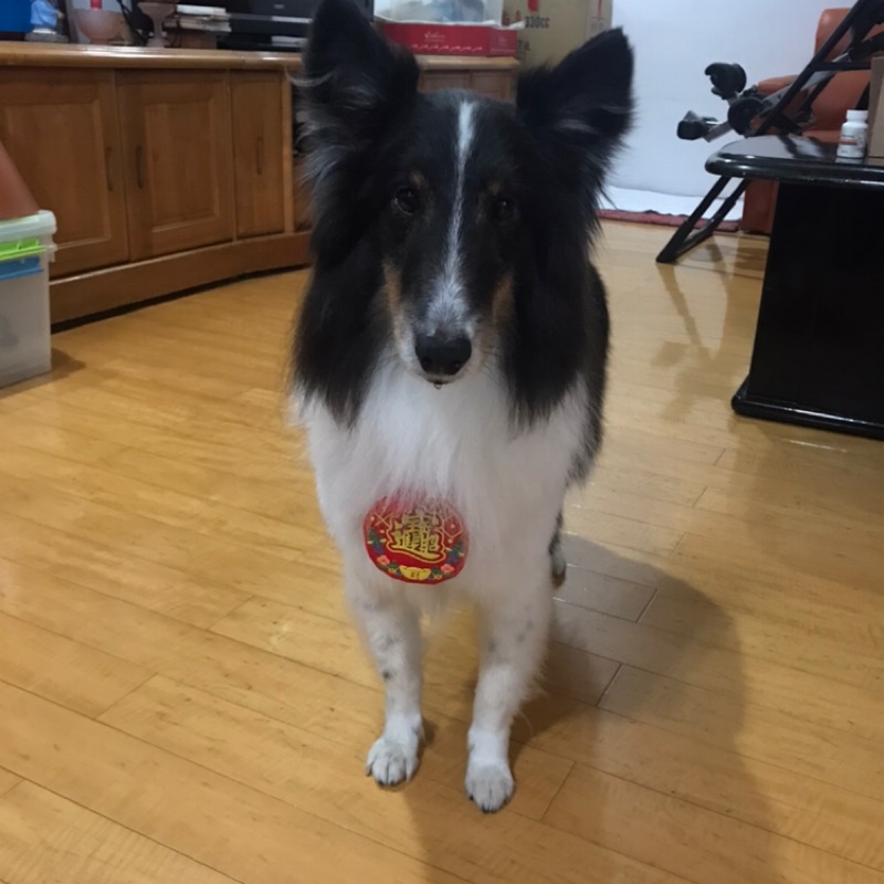 902zbgc3lk, 線上商店 | 蝦皮購物