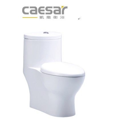 CF1375 /CF1475 二段式省水單體馬桶 CAESAR 凱撒衛浴 | 蝦皮購物