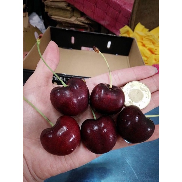 櫻桃8.5R 2kg的價格推薦 - 2025年3月 | 比價比個夠BigGo