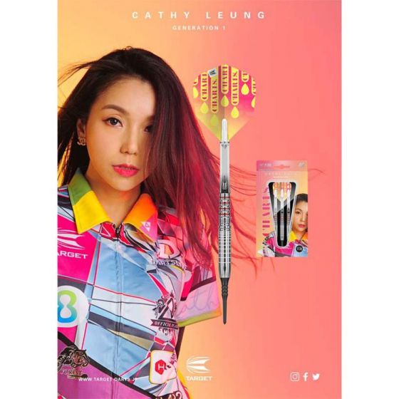 36％割引【超ポイントバック祭】 TARGET CHARIS Gen1 Cathy Leung Model 2BA ダーツ その他-OTA ...