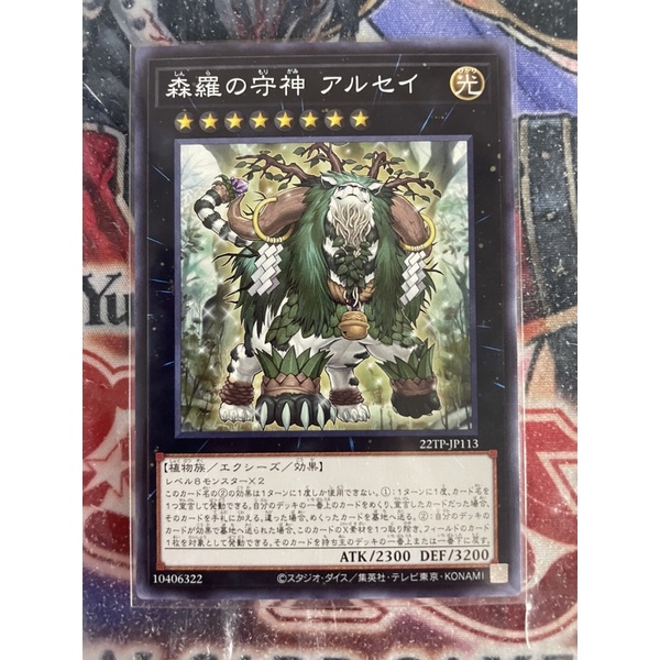 22TP-JP113 森羅的守神森精 (普卡) | 蝦皮購物