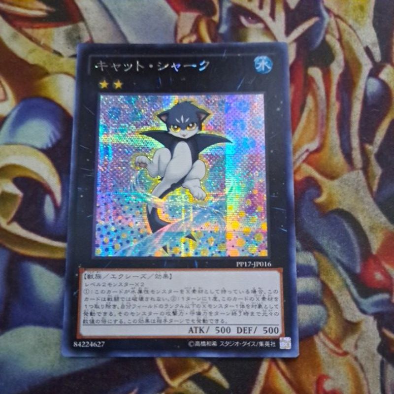 遊戲王 貓鯊的價格推薦 - 2025年3月 | 比價比個夠BigGo