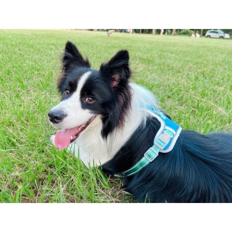 摸肚肚 MODODO 宇宙漫步胸背帶（水瓶淺藍） | 蝦皮購物