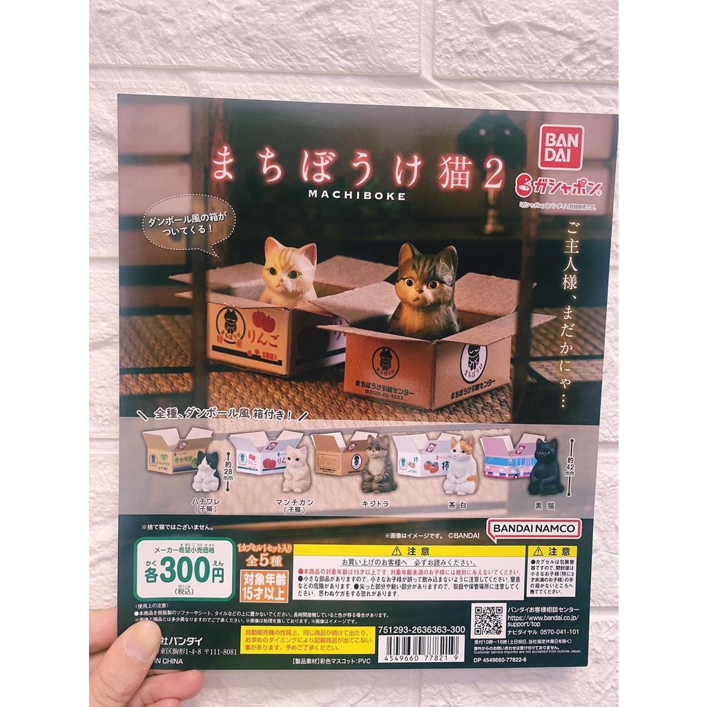 『Vic Toy』現貨 扭蛋 轉蛋 BANDAI 等待中貓咪公仔 P2 箱箱貓 紙箱貓 貓 流浪動物 公仔 | 蝦皮購物
