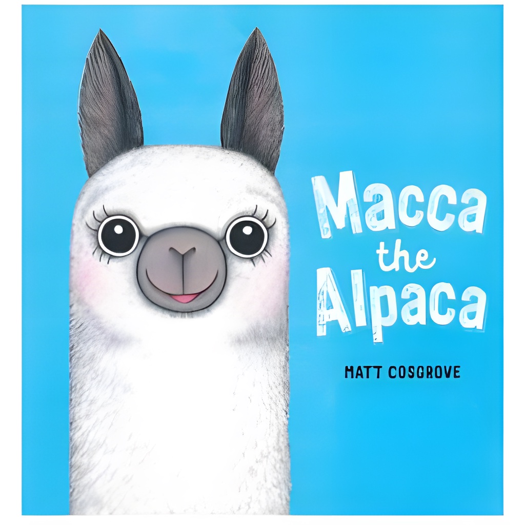 Macca的價格推薦 - 2024年6月| 比價比個夠BigGo