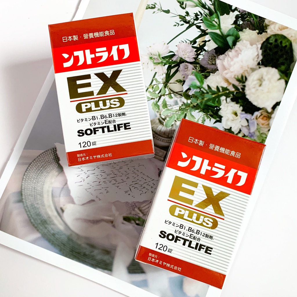 日本【活力B群 EX PLUS加強錠120錠 】維生素B群 小顆好吞 方便快速 強效B群 日本製造 日本原裝 za569 | 蝦皮購物