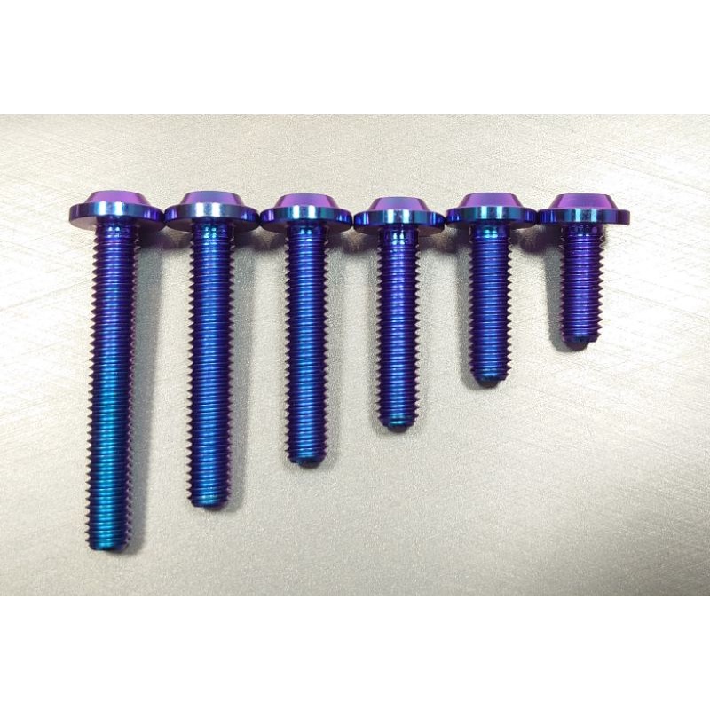 M6x15 正鈦螺絲的價格推薦 - 2024年9月| 比價比個夠BigGo