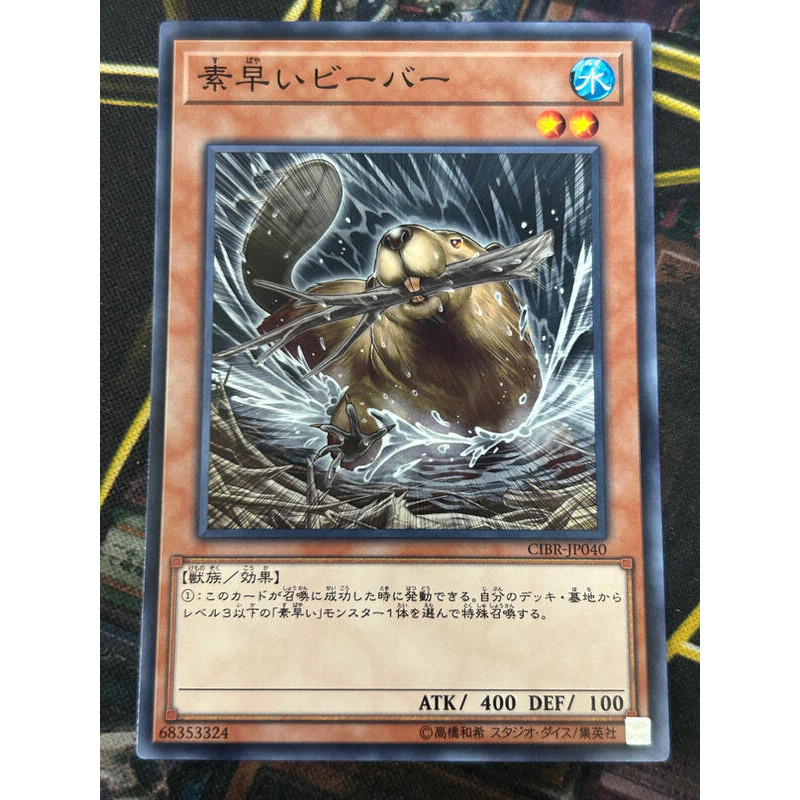 Cibr-jp040的價格推薦 - 2024年7月| 比價比個夠BigGo