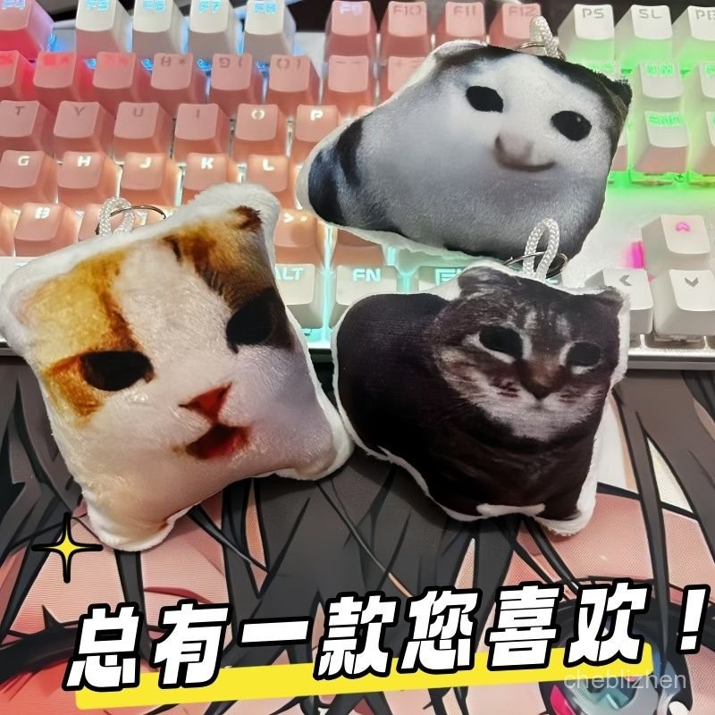 oiiai 旋轉的價格推薦 - 2025年6月 | 比價比個夠BigGo