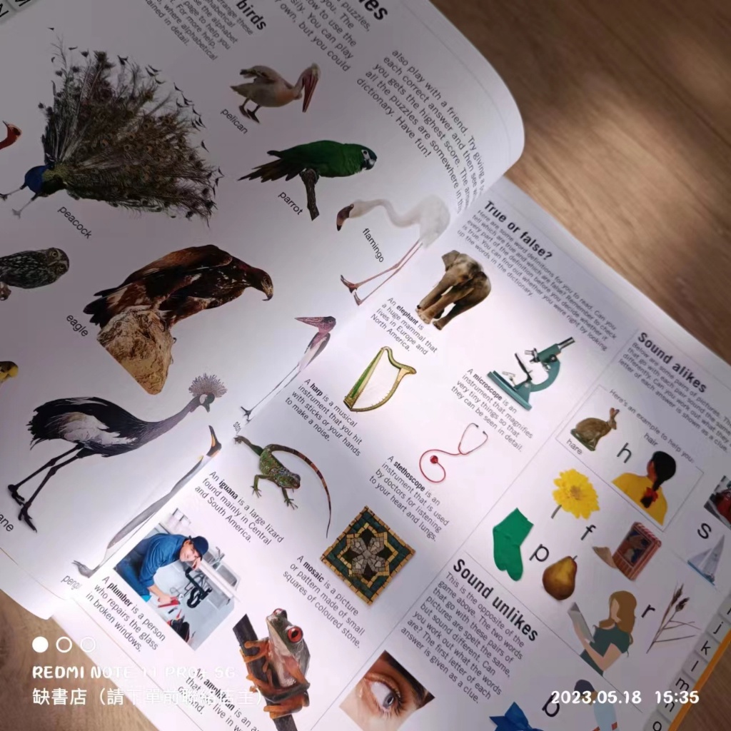 現貨塑封DK 精裝英文字典 Children＇s Illustrated Dictionary (英國版)🍀缺書店 - 缺書店【英文童書繪本 ...