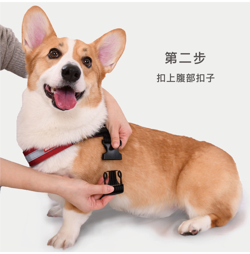 【喵爺】 EZYDOG AK47秒穿胸背帶 丹寧 小型犬 中型犬 大型犬 寵物胸背 狗狗胸背 犬用胸背 大型胸背 - 喵爺駕到 - iOPEN Mall