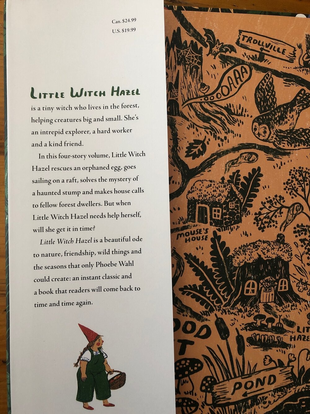 訂購🍀精裝英文繪本Little Witch Hazel: A Year in the Forest🍀Phoebe Wah - 缺書店【英文童書 ...