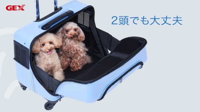 現貨供應【日本GEX】任我行寵物登機箱 - M星球 - iOPEN Mall