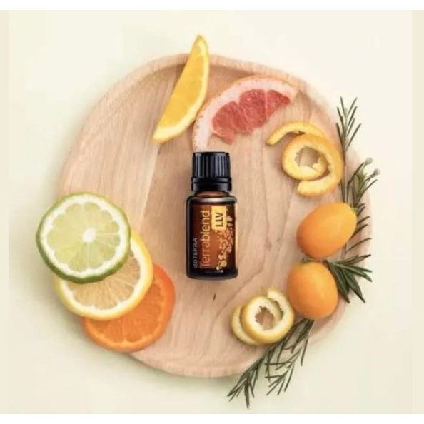 llv多特瑞的價格推薦 - 2025年9月 | 比價比個夠BigGo