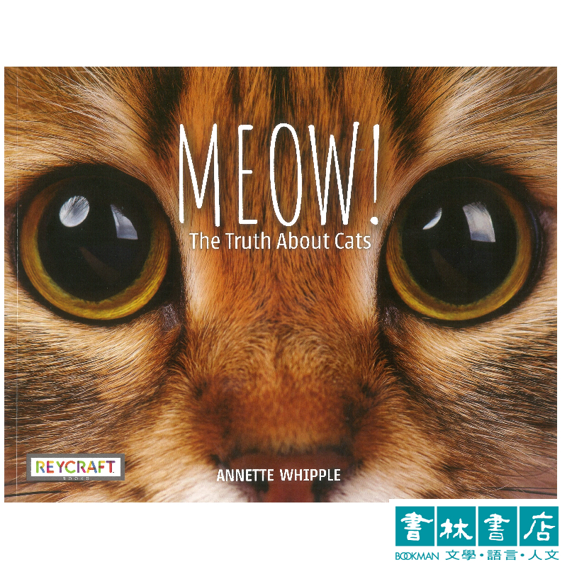 cats meow的價格推薦 - 2025年1月 | 比價比個夠BigGo