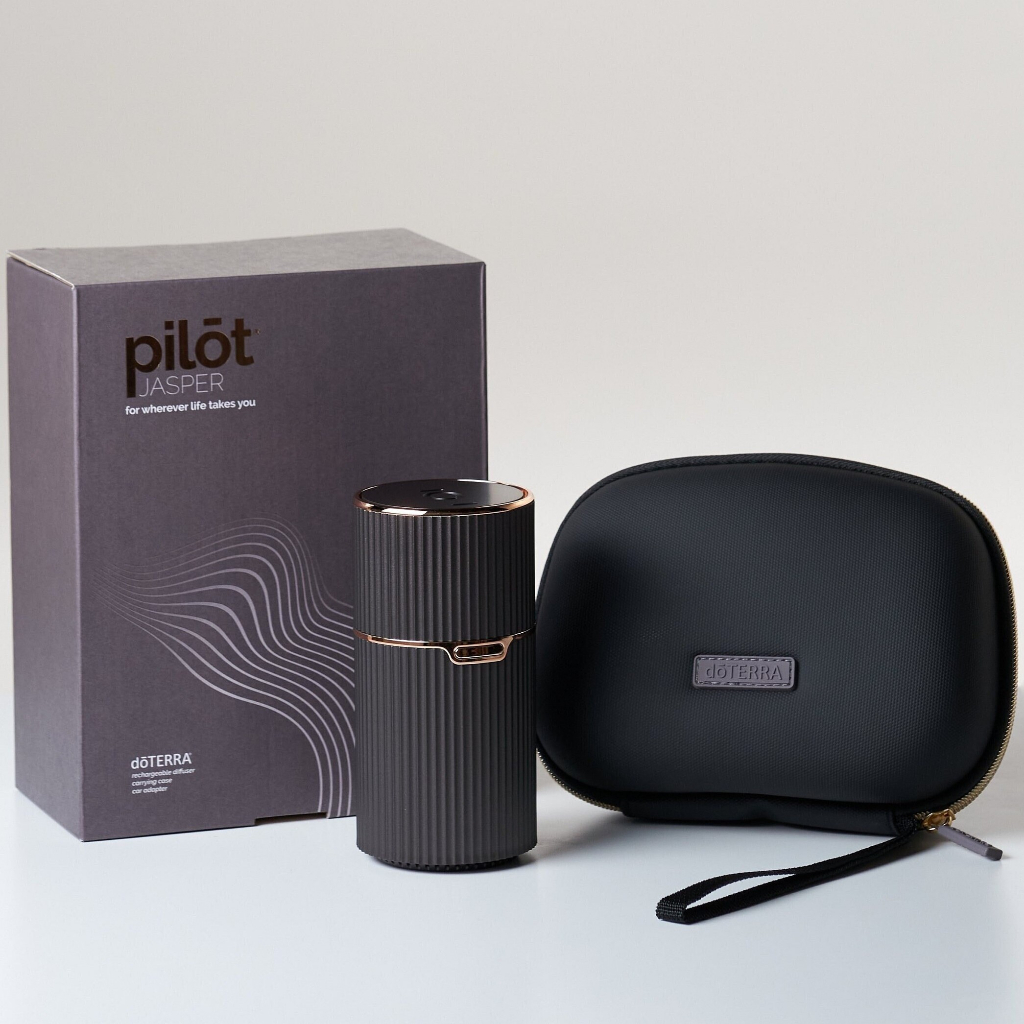 diffuser pilot的價格推薦 - 2025年12月 | 比價比個夠BigGo