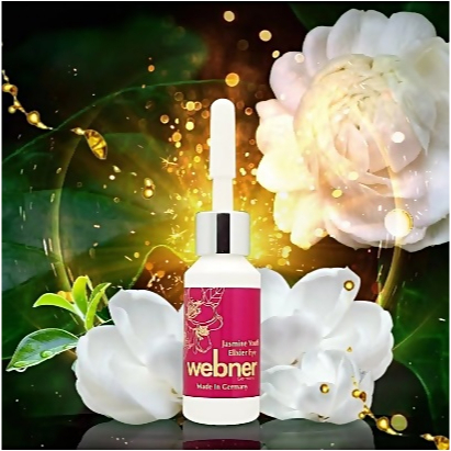 德國webner夜茉莉的價格推薦 - 2025年11月 | 比價比個夠BigGo