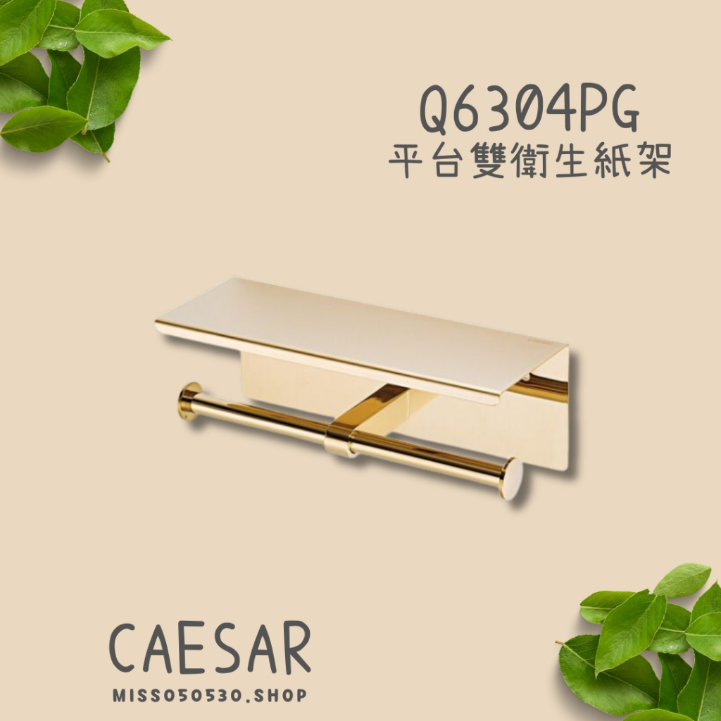 Q6304pg的價格推薦 - 2023年8月| 比價比個夠BigGo