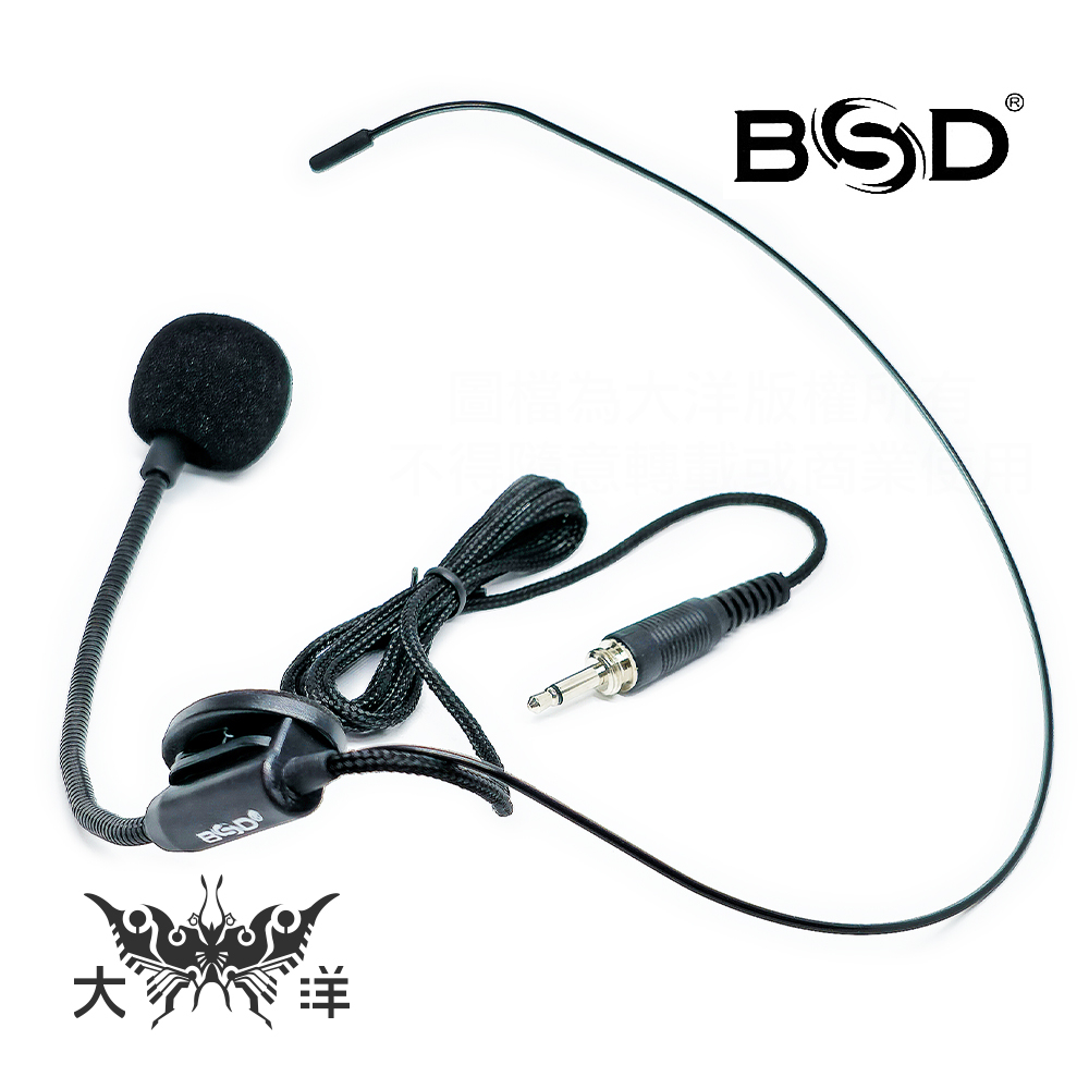 演講 掛麥克風的價格推薦 - 2025年2月 | 比價比個夠BigGo